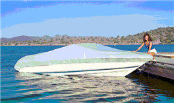 Taylor Boat Guard Mooring and Storage Boat Covers - 70191 - 19' to 21 ...